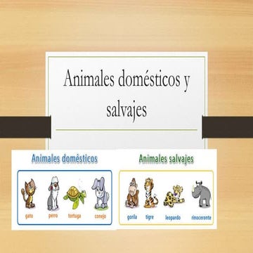 Animales domesticos y salvajes | PPT