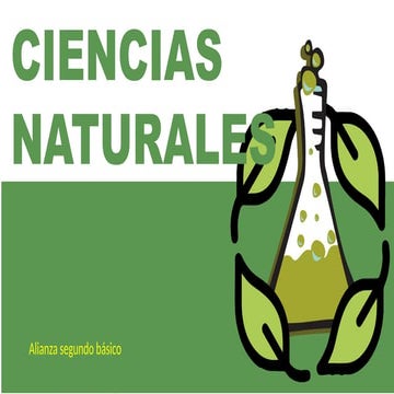 animales y ciclo vital de los seres vivos | PPTX