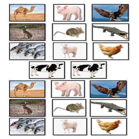 Animales puros-e-impuros | DOCX