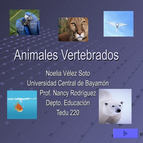 Animales vertebrados | PPT