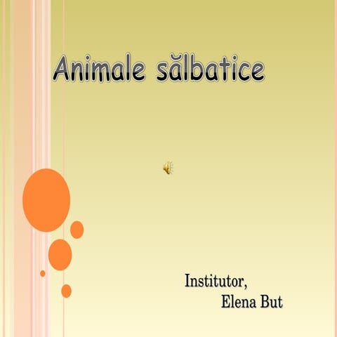 Animale Salbatice | PPT