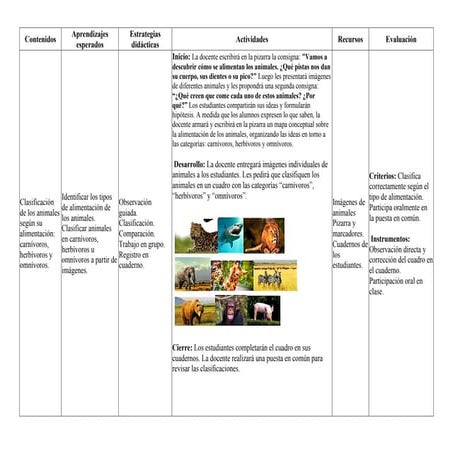 Animales alimentacion CARNIVOROS HERVÍVOROS Y OMNÍVOROS | PPT