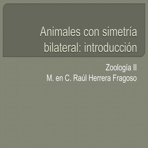 Animales con simetría bilateral | PPTX
