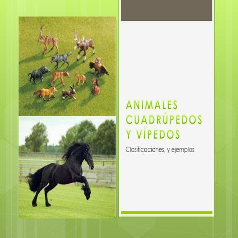 Animales cuadrúpedos y vípedos | PPTX