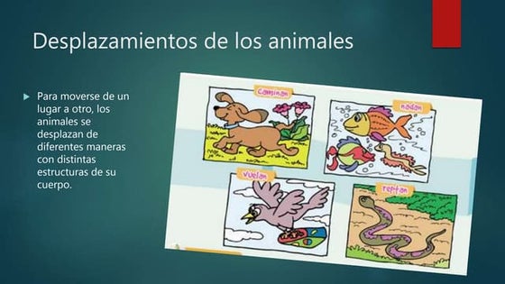 Los dientes y la alimentación de los animales | PPT