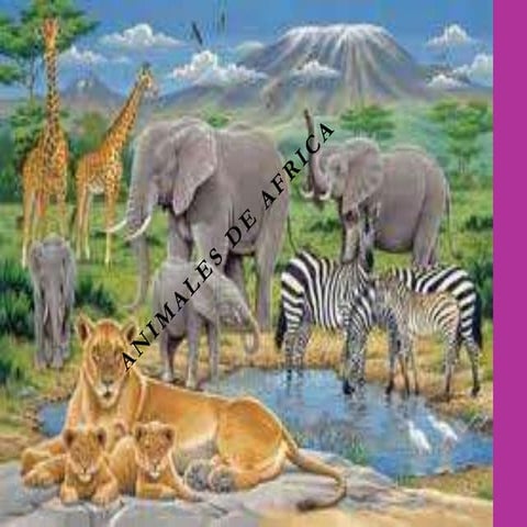 Animales de la selva | PPT