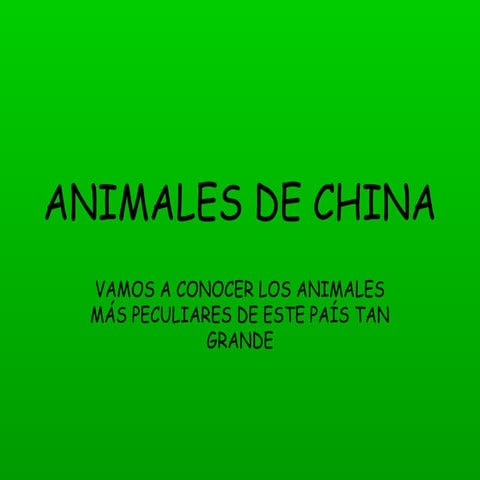 Animales de china | PPS
