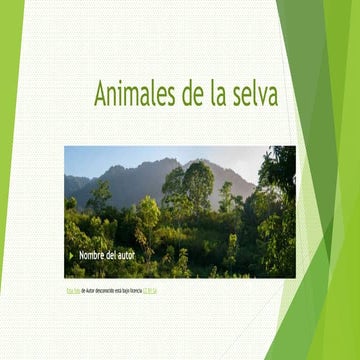 Animales de la selva 1 | PPTX