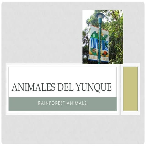 Animales del Yunque | PPTX