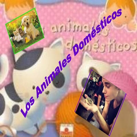 Los animales domésticos | PPTX