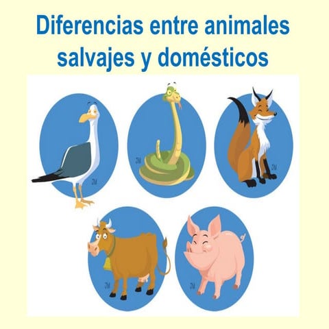 Animales domesticos y salvajes | PPT