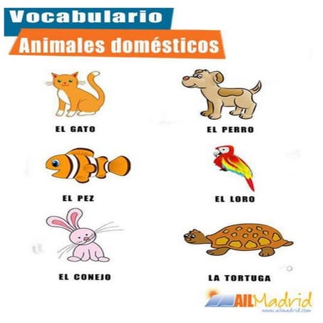 Spanish Resources: animales domésticos | PDF