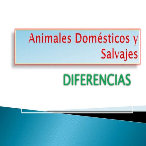 Animales domésticos y salvajes | PPTX