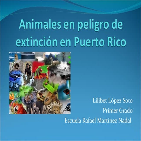 Animales en peligro de extinción en puerto rico | PPT