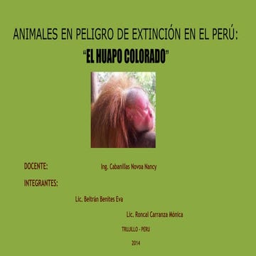 Animales en peligro en extincion huapo colorado | PPTX