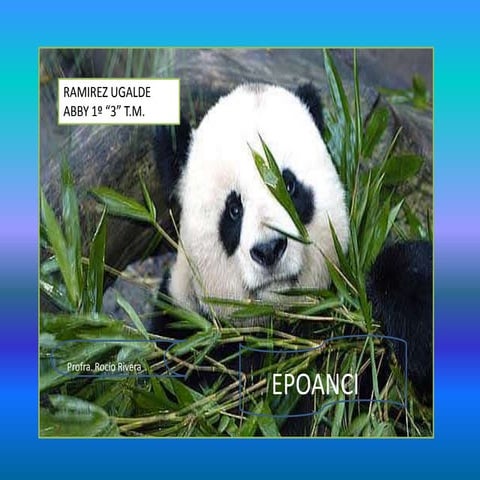 Animales en peligro de extinción: Abby | PPTX