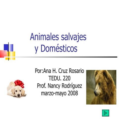 Animales en ppt | PPT