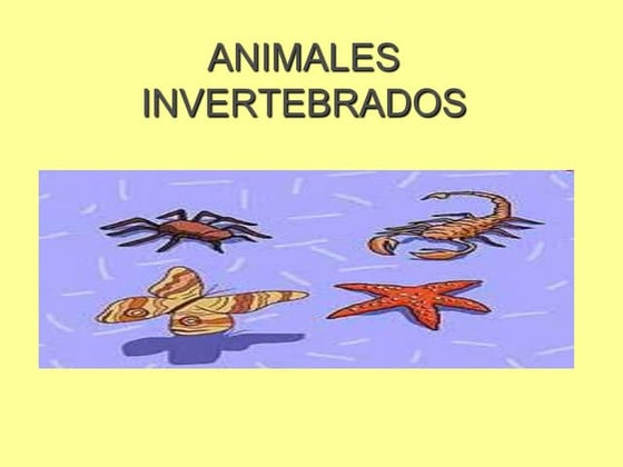 Invertebrados | PDF
