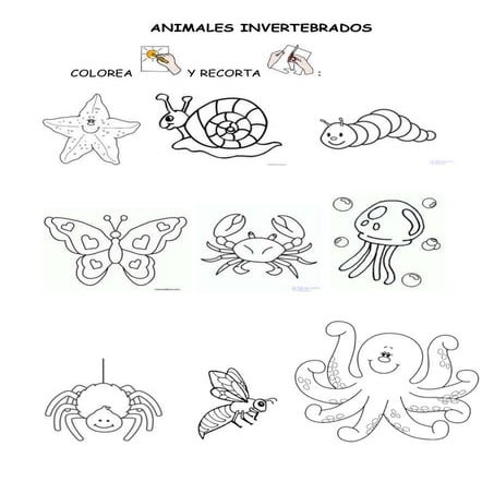 Animales invertebrados | DOCX