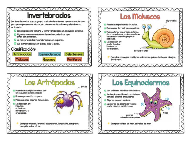 Animales invertebrados | PDF