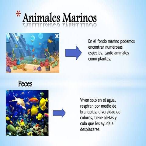 Animales marinos | PPTX