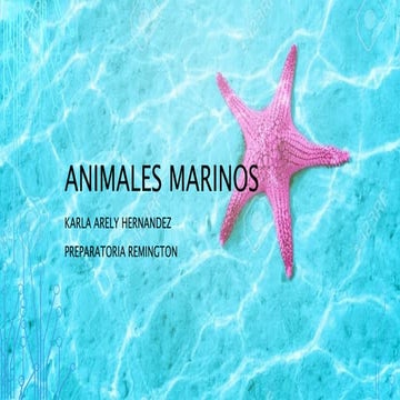 Animales marinos | PPTX