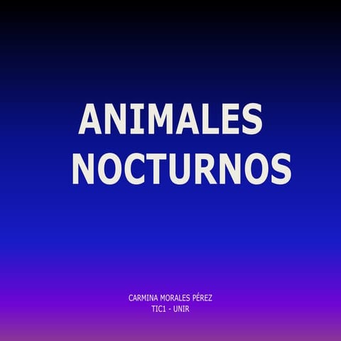 Animales nocturnos | PPTX