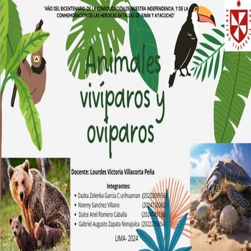 Animales ovíparos y vivíparos-Grupo1.pptx
