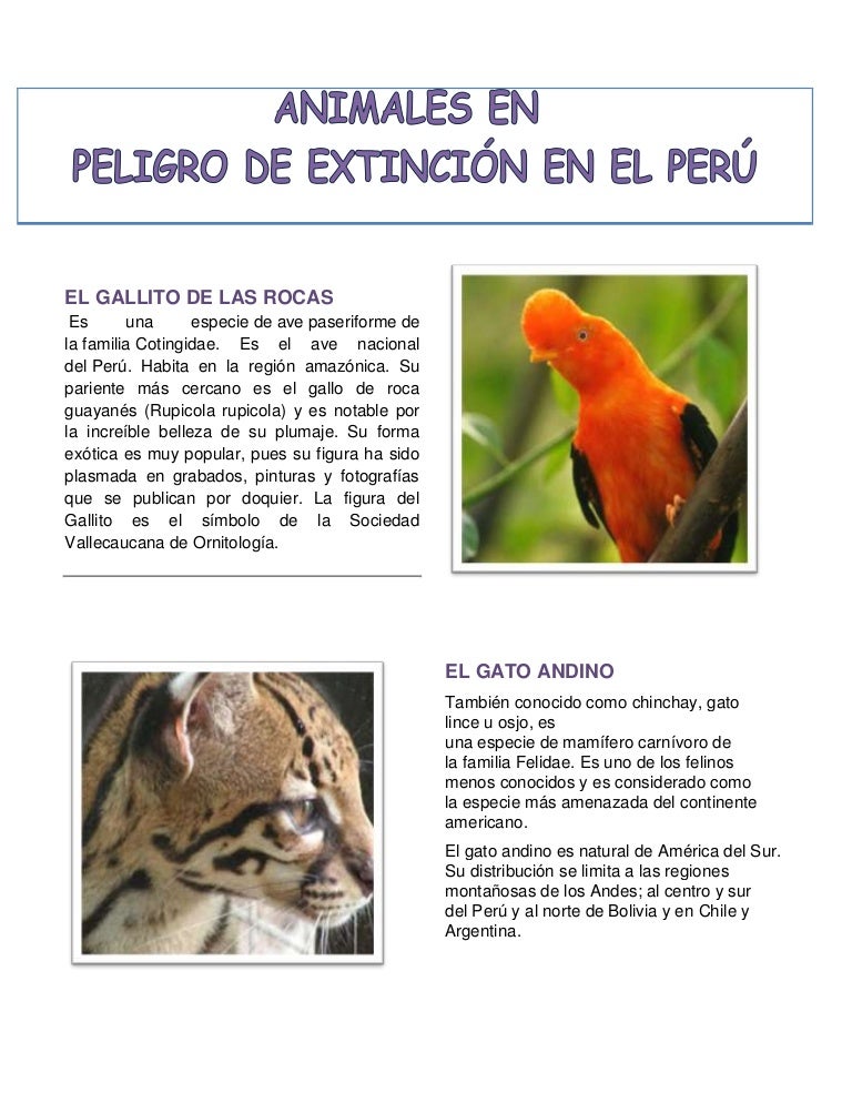 Hojas De Trabajo Sobre Animales En Peligro De Extinción