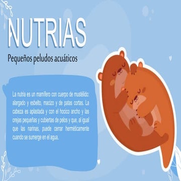 Presentación_Nutrias de nutrias para niños | PPTX