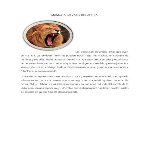 Animales salvajes del africa | DOCX