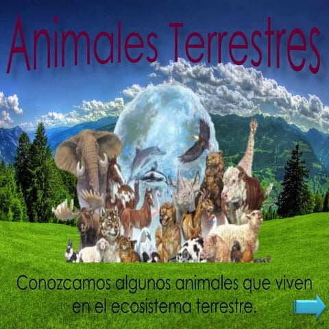 Animales terrestres | PPTX