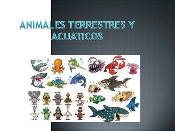 Animales terrestres aereos y acuaticos | PPT