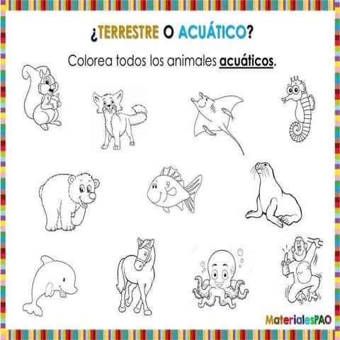 Ficha De Animales Terrestres Y Acuáticos