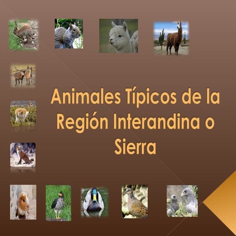 Animales típicos de la Sierra | PPT