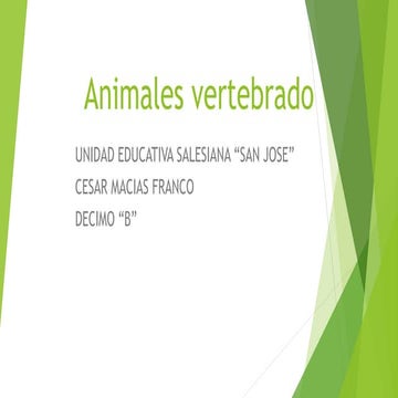 Los Vertebrados | PPT