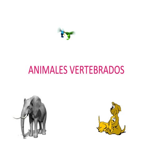 Animales Vertebrados | PPT