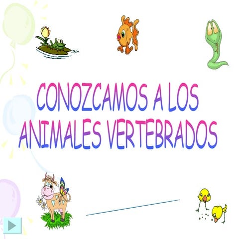Animales Vertebrados | PPT
