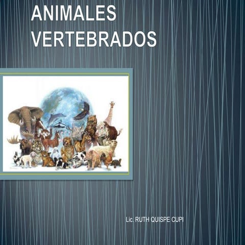 Presentación de animales vertebrados. | PPT