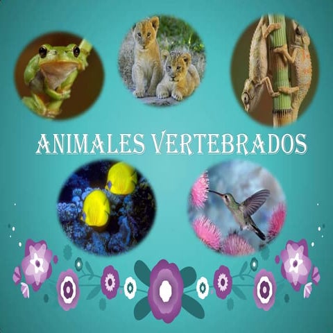Los Vertebrados | PPT