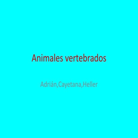 Presentación animales vertebrados primer ciclo primaria | PPT