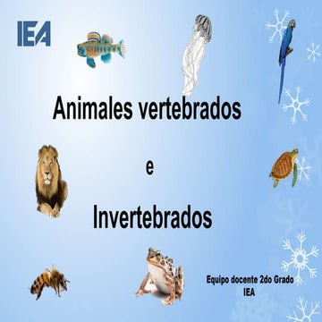 Animales vertebrados e invertebrados.pptx