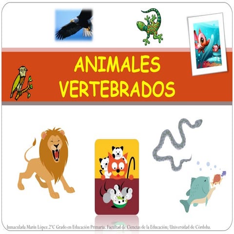 Animales vertebrados | PPT