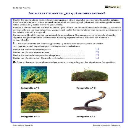 Animales y plantas | PDF