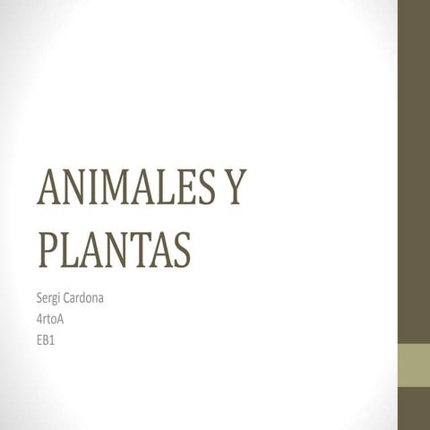 Animales y plantas | PPT