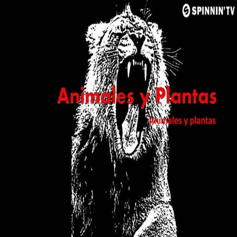 Presentación Animales y Plantas | PPTX