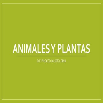 ANIMALES Y PLANTAS.pptx | Biological Sciences | Science