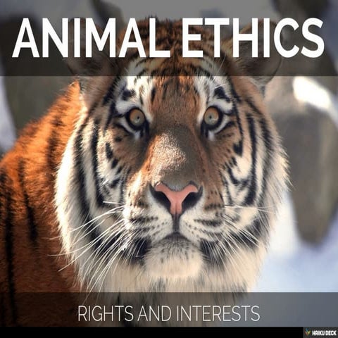 Animal Ethics: Rights and Interests | PDF