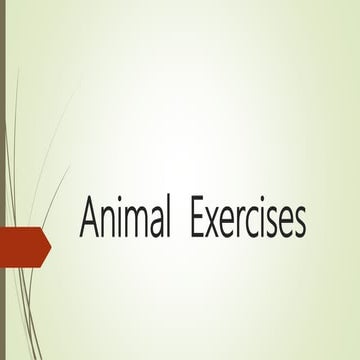 Animal exercises | PPTX