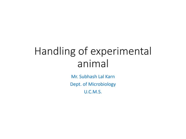 Format of research report | PPTX